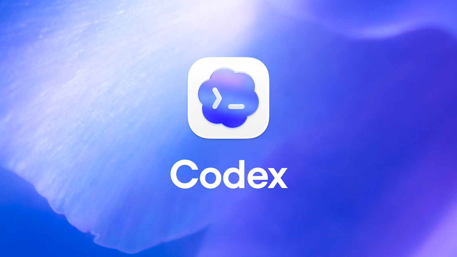 CLI – Codex | OpenAI Developers